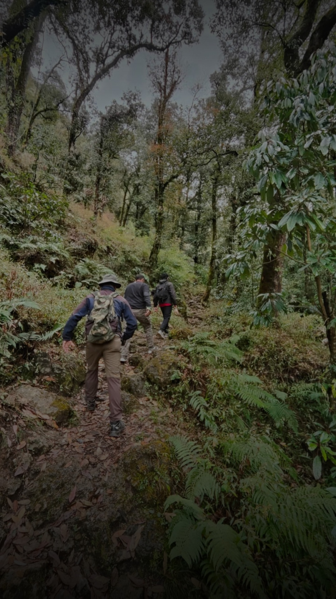 High Walk - Your Path to Experiential Learning and Adventure!