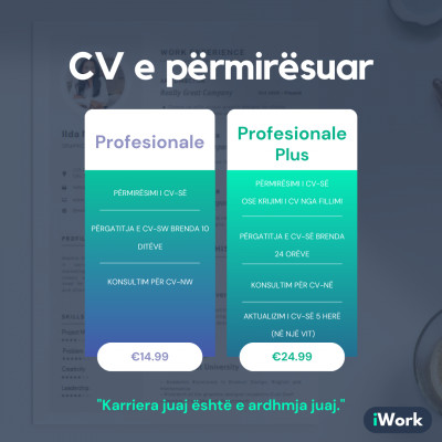 CV Profesionale