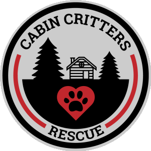 Cabin Critters Rescue