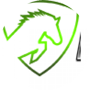 Daftar Situs Resmi PAY4D | BO Slot Terpercaya