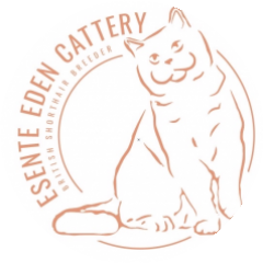 Esente Eden Cattery