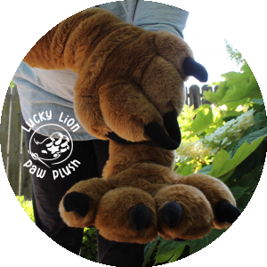 TKG Studio - Lion Paw Suits