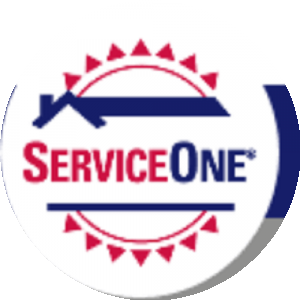 ServiceOne Protect