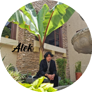 Alek