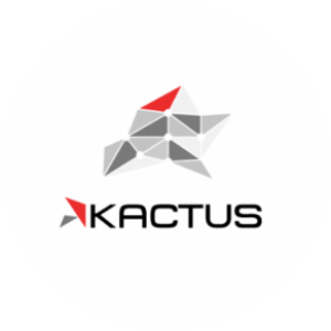 Kactus Limited