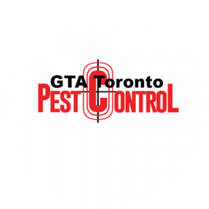 GTA Toronto Pest Control