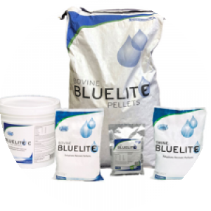 Bluelite