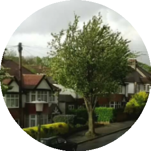 Links Estate Residents Association