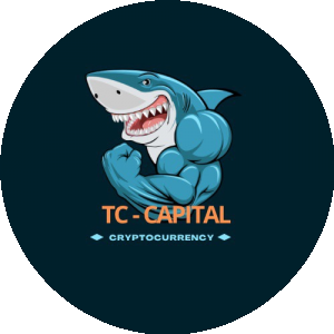 Tc Capital