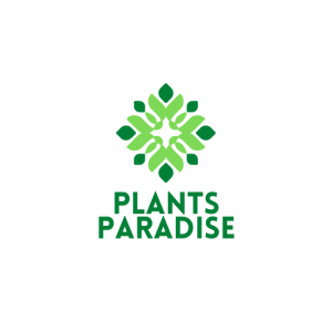 Plantsparadise