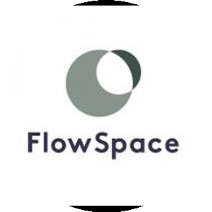 Flow Space
