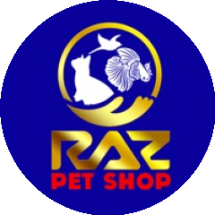 Raz