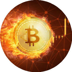 QuantumFBCPlatform@outlook.com