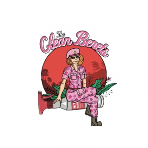 Clean Berets House Cleaning