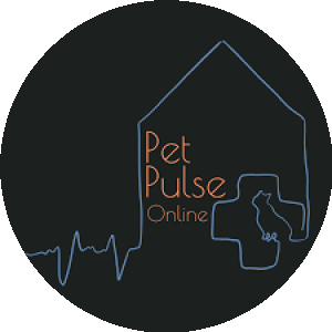 "Paws and Play: Exploring the Vibrant World of Pet Life"