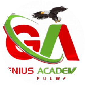 Genius Academy