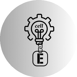 E-Cell SCSIT