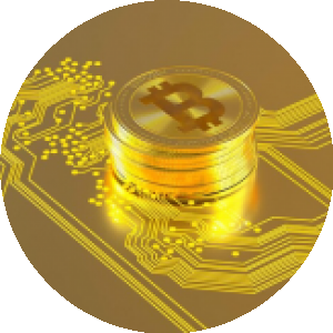 Profit-Rex-Recensioni@outlook.com