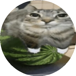 watermelon cat