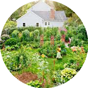 Home Gardening