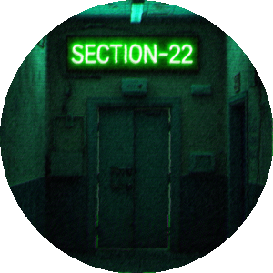 SECTION_22