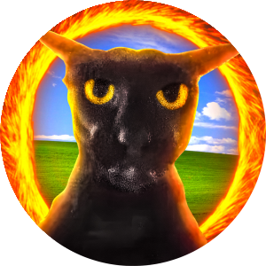 The Multiverse Of Cats